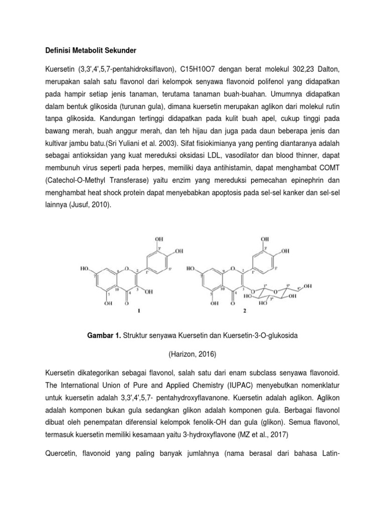 Struktur dan Sifat Kuersetin Flavonoid | PDF