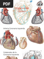 Sistema Hexaxial de Bailey | PDF | Electrocardiografia | Corazón