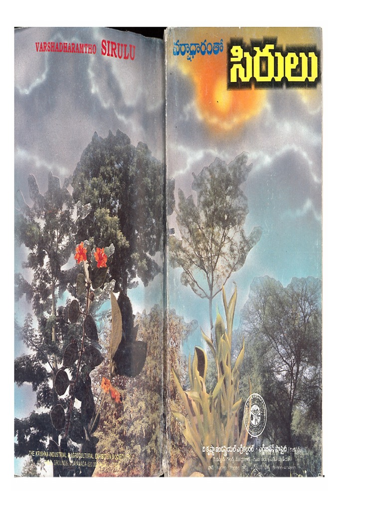 Sirulu | PDF