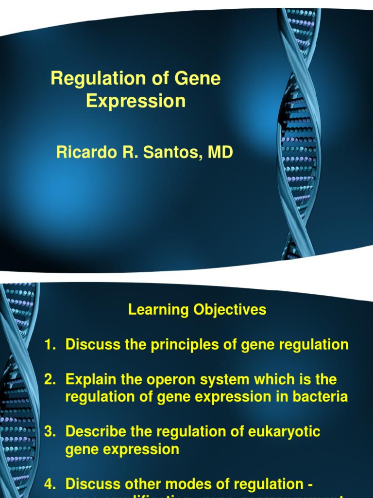 Regulation of Gene Expression 2018 | PDF | Operon | Regulation Of Gene ...