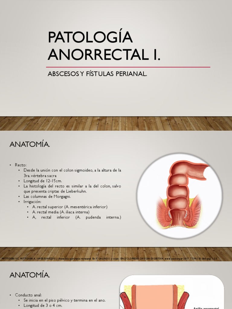 Patología Anorrectal | PDF | Hemorroides | Gastroenterología