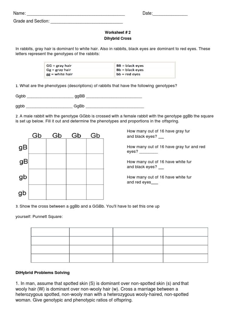 Dihybrid Cross Worksheet for Genetics | PDF | Dominance (Genetics ...