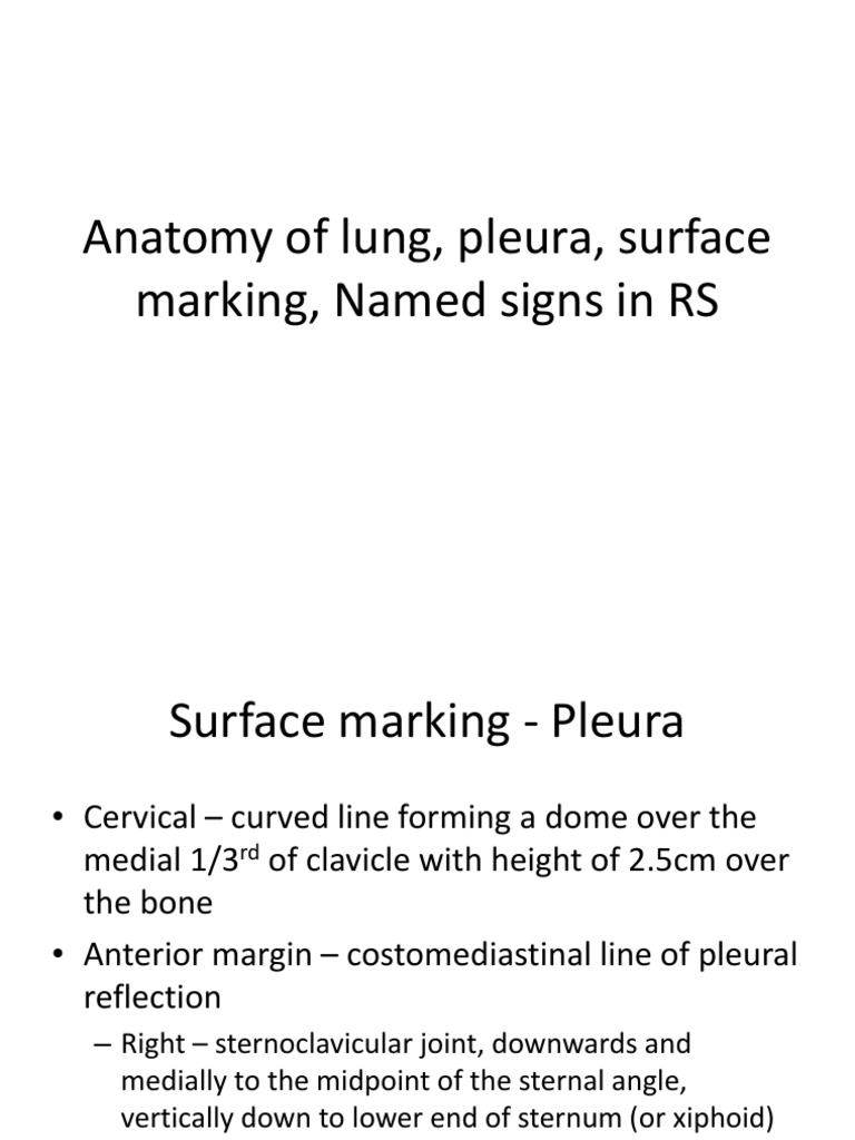 Anatomy of Lung, Pleura, Surface Marking | PDF | Lung | Thorax (Human ...