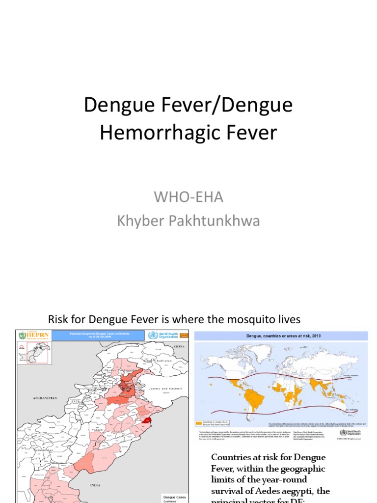 Presentation On Dengue Fever | Download Free PDF | Diseases And ...