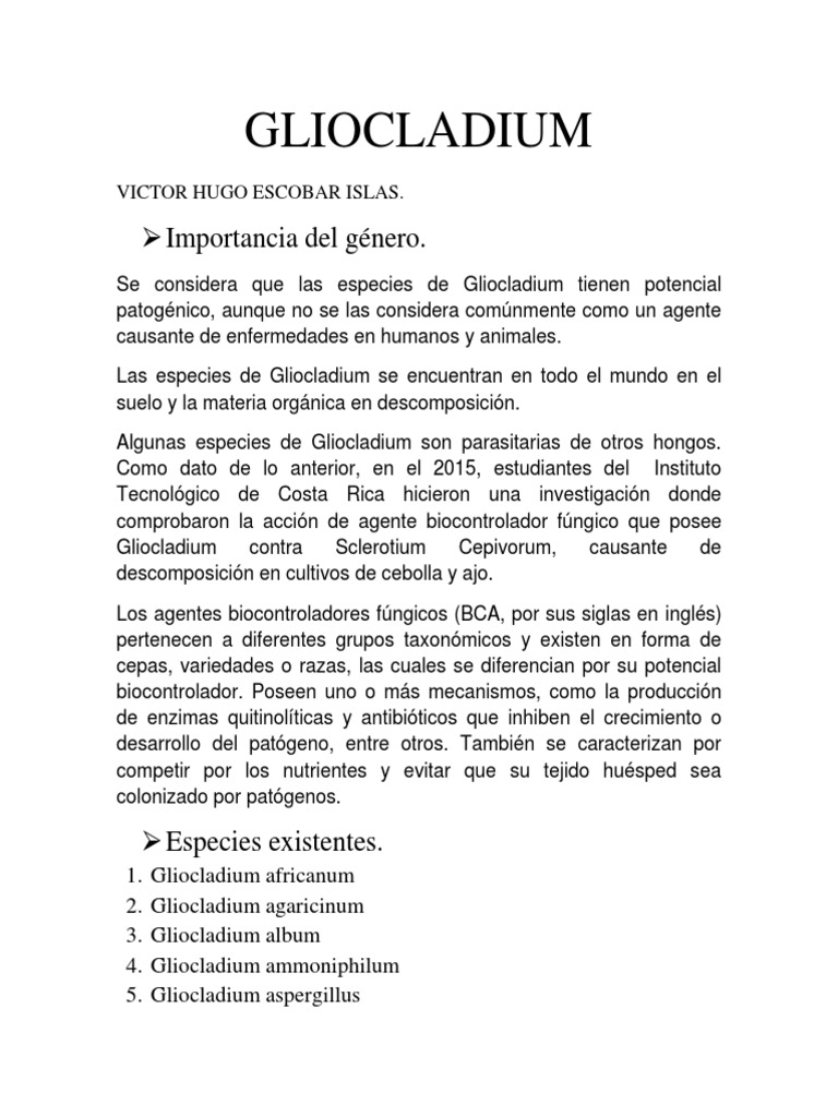 Especies y biocontrol de Gliocladium | PDF | Hongo | Organismos