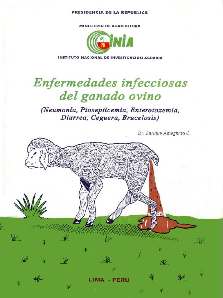 Enfermedades Infecciosas En Ovinos Pdf Oveja Diarrea