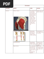 Palpation Techniques for Lower Extremities | PDF | Foot | Knee