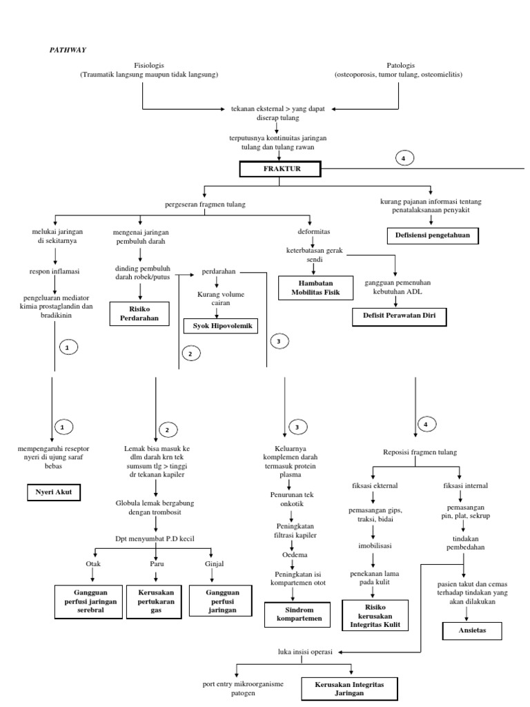 Pathway Penanganan Fraktur Pasca Operasi | PDF