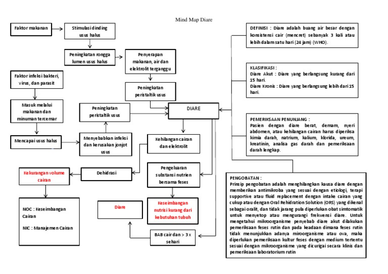 Mind Map Diare New | PDF