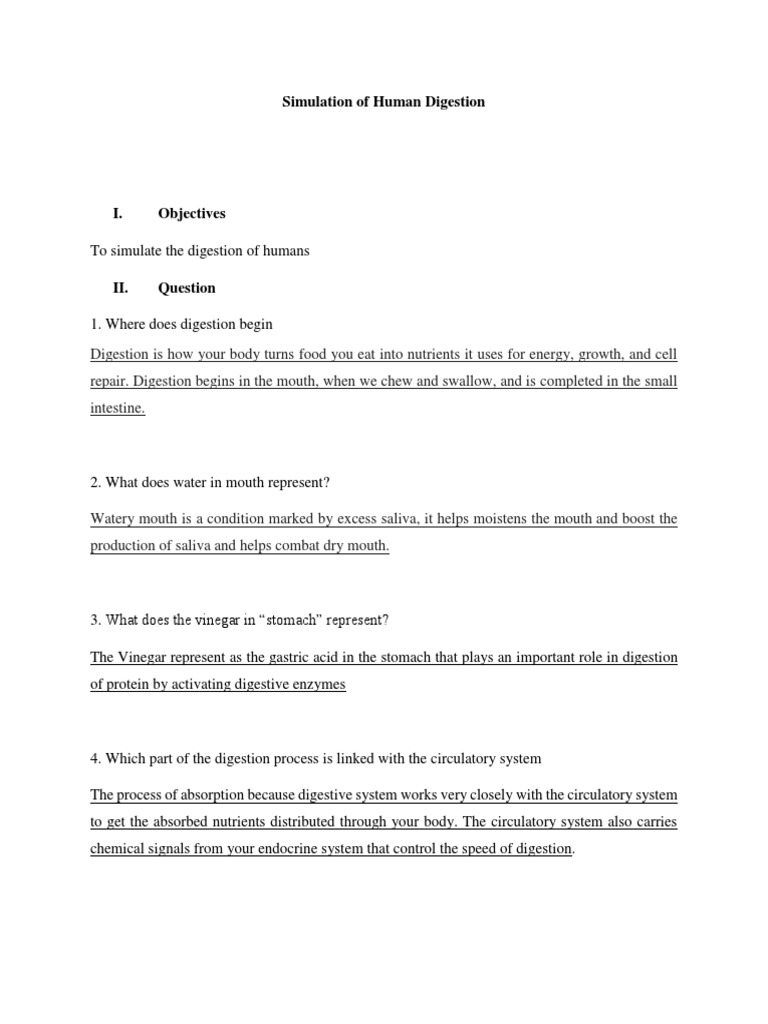 Labreport | PDF | Digestion | Human Digestive System