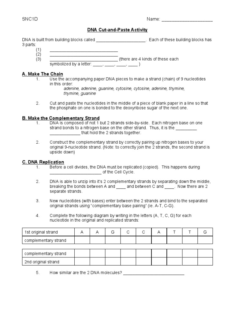 Cut and Paste | PDF | Dna | Genetic Code