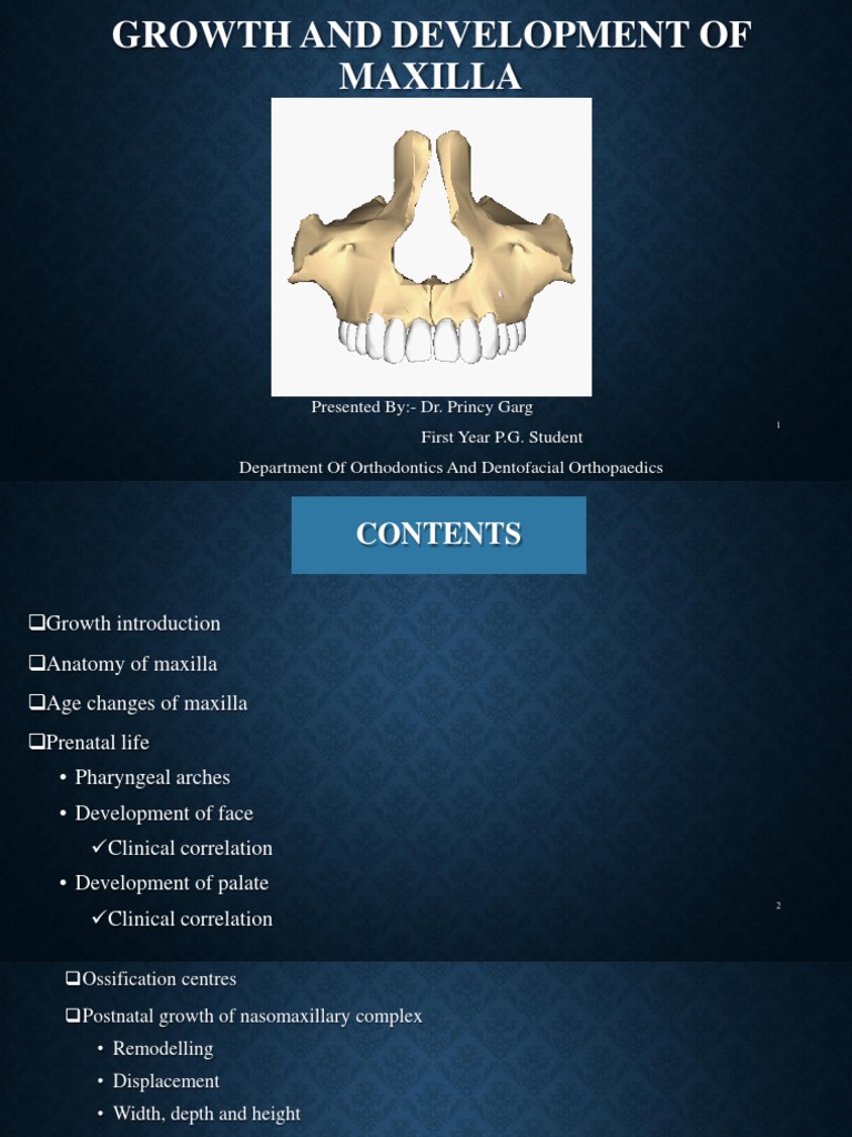 Growth of Maxilla | PDF | Human Nose | Bone