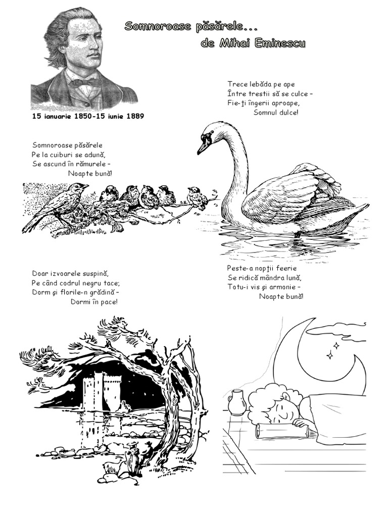 Somnoroase Pasarele PDF | PDF