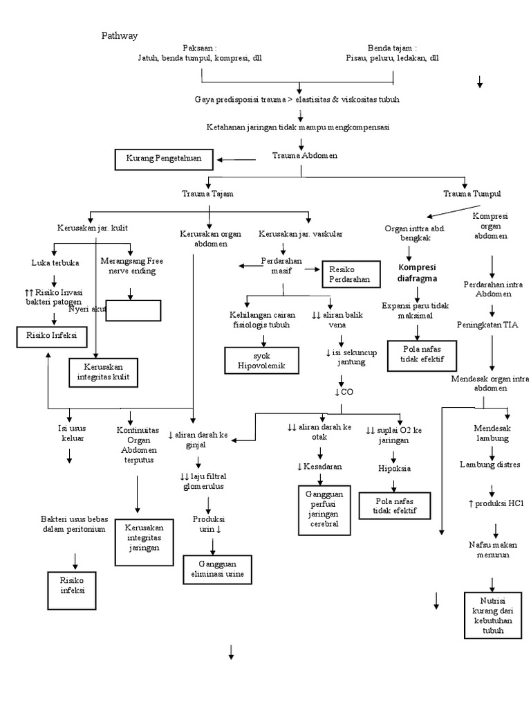 Pathway Trauma Abdomen | PDF