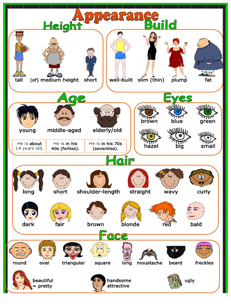 Adjectives Pictionary - Exercises-Páginas-1,3 | PDF | Human Body | Beauty