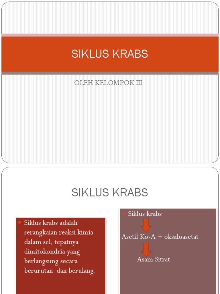 Siklus Krebs | PDF
