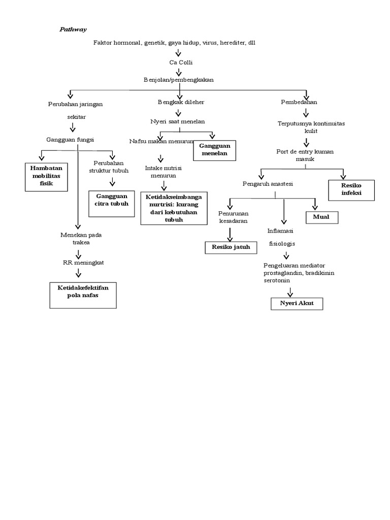 Pathway CA COLI | PDF