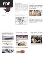 Teknik Perawatan CDL Pada Pasien HD - Ns. Didin. Rasidin, S.Kep | PDF