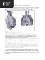 Anatomie Topographique de La Cavité Abdominale Et Péritonéale | PDF ...