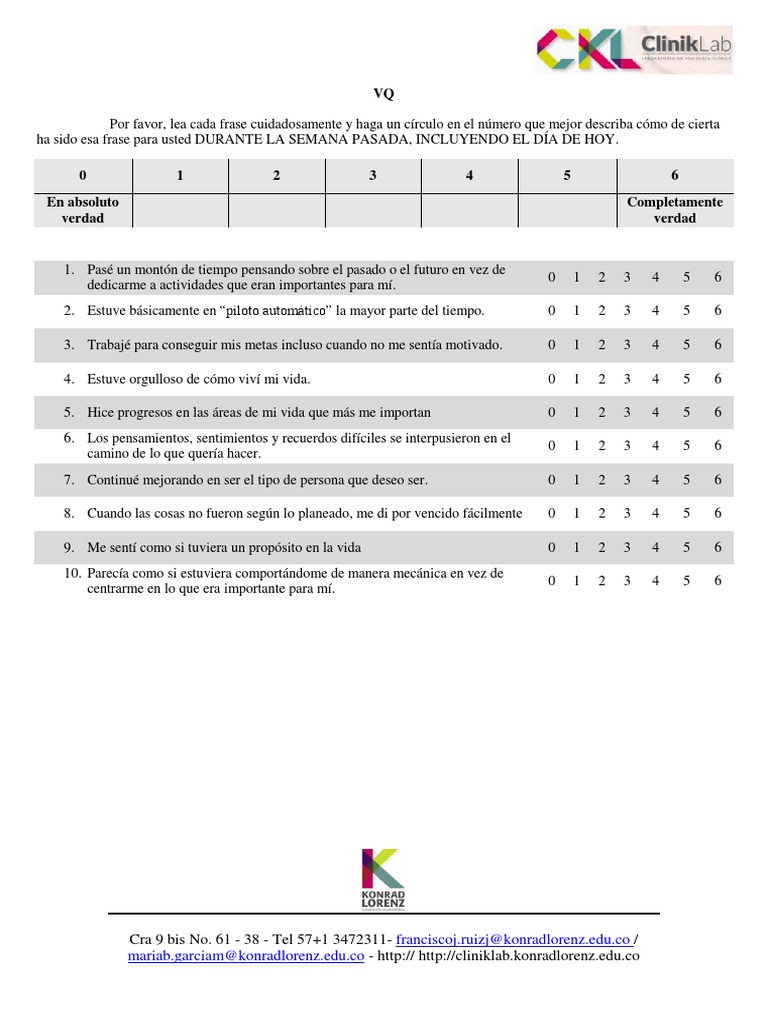 VQ Cuestionario de Valores Español | PDF