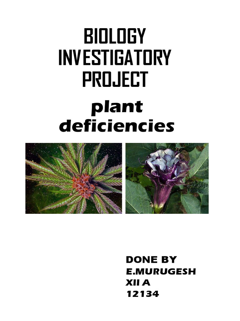 Biology Investigatory Project | PDF | Soil | Sulfur