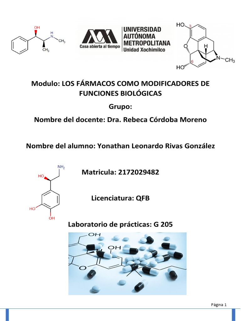 Fármacos Adrenérgicos y Colinérgicos | PDF | Norepinefrina | Acetilcolina