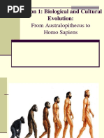 UCSP - Human Evolution | PDF | Paleolithic | Human