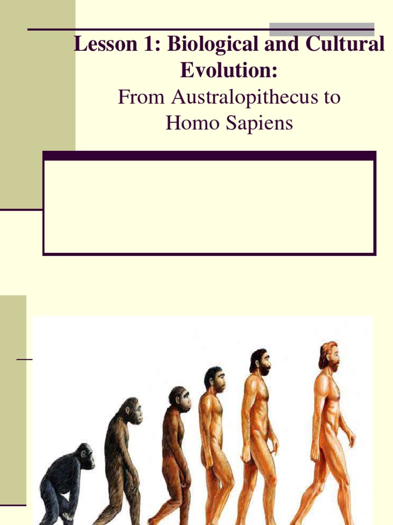biological and cultural evolution.ppt | Homo | Pliocene | Free 30-day ...