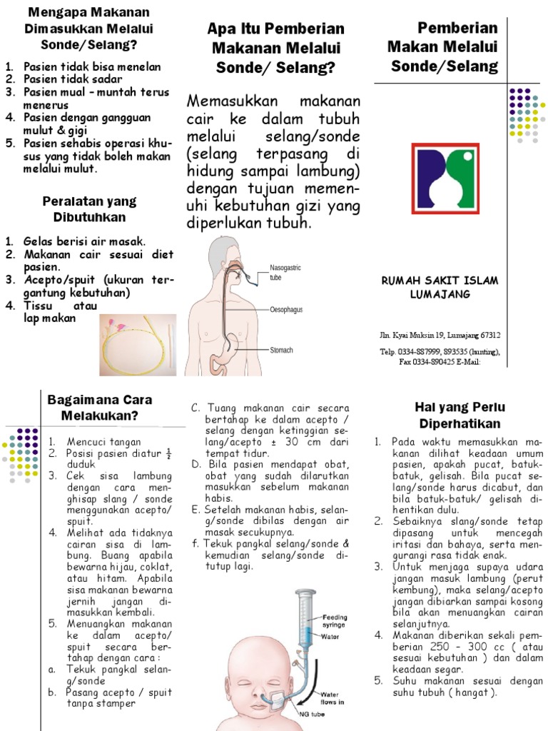 Leaflet Sonde | PDF