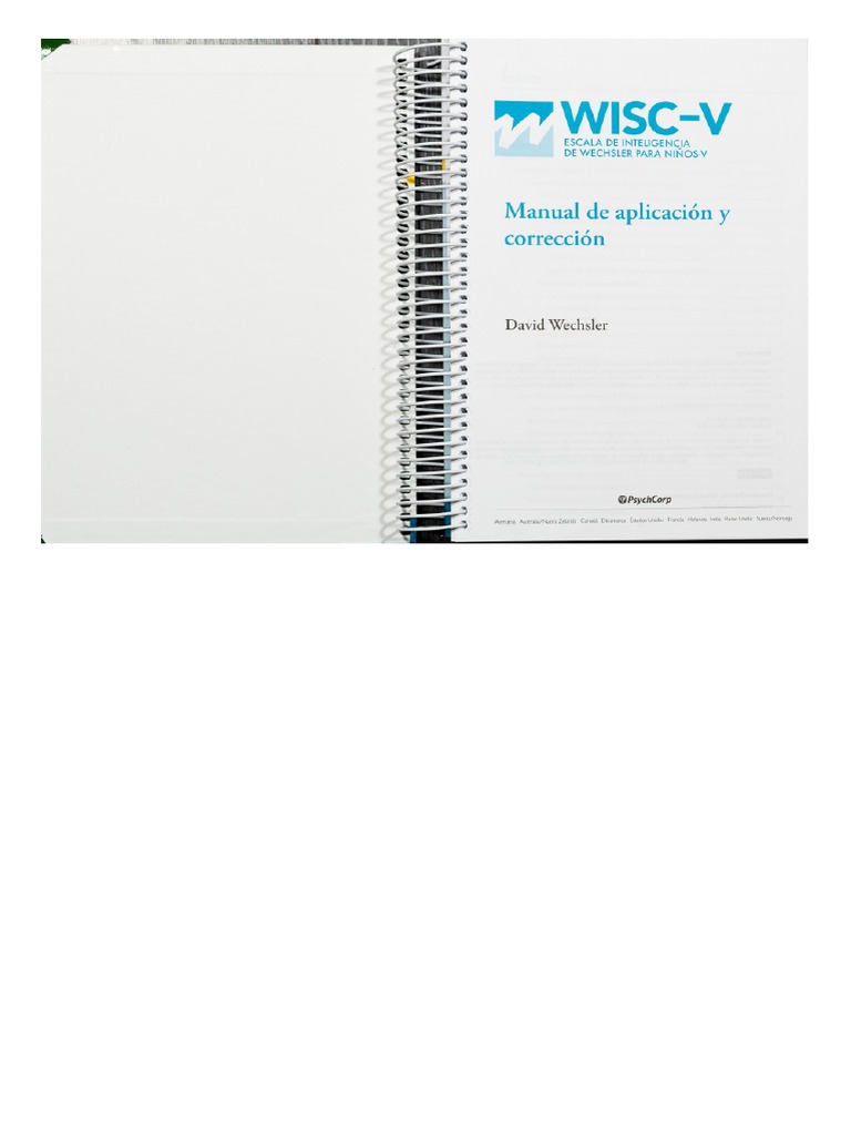 Wisc V Manual | PDF