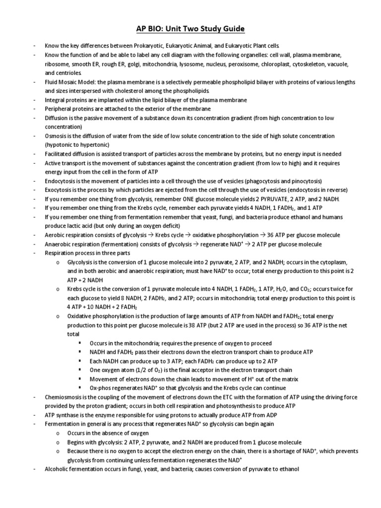 AP Biology Unit 2 Study Guide | PDF | Cellular Respiration | Adenosine ...