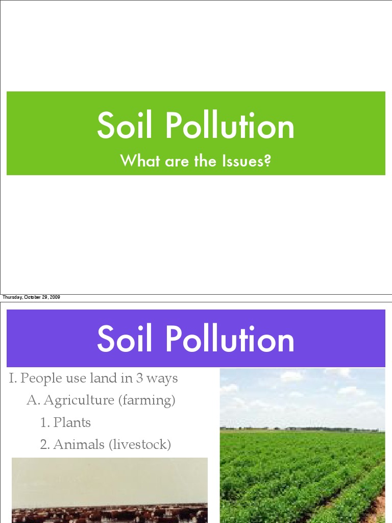 Soil Pollution | PDF | Topsoil | Soil
