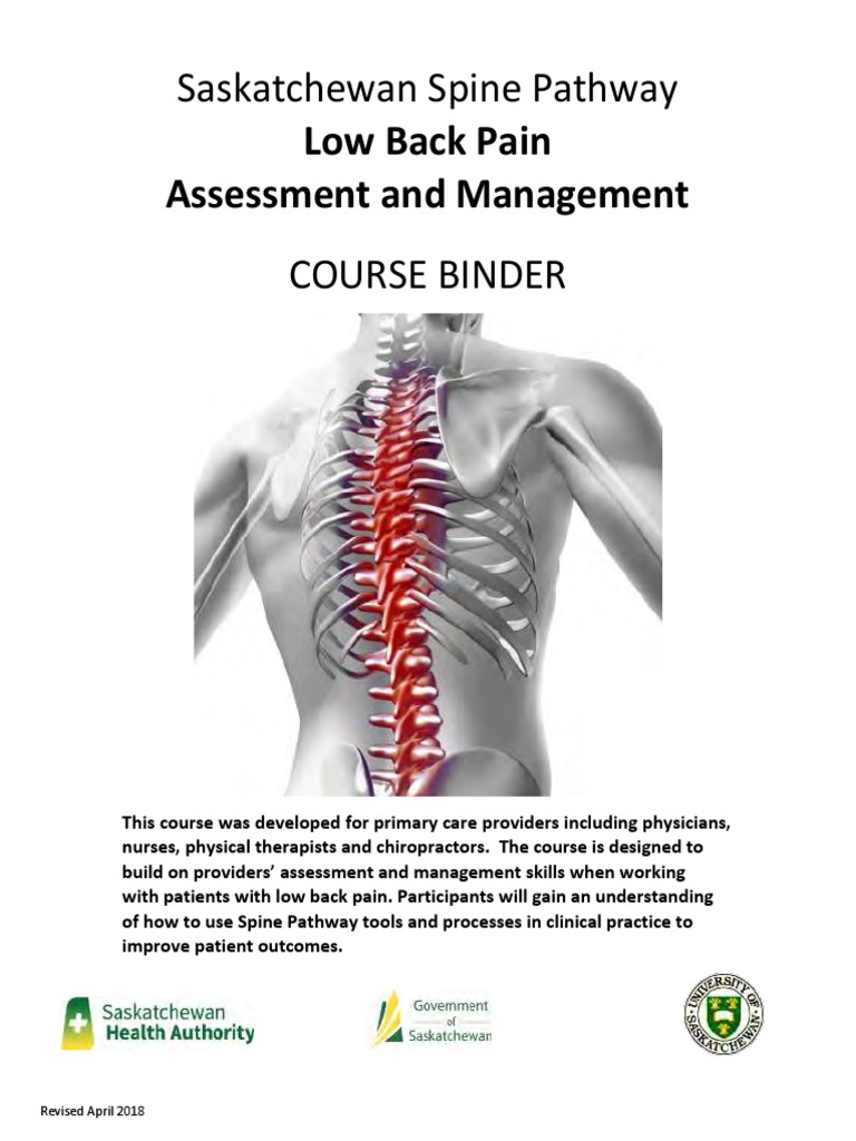 SPINE Course Materials Spine Pathway PDF | PDF | Back Pain | Human Leg