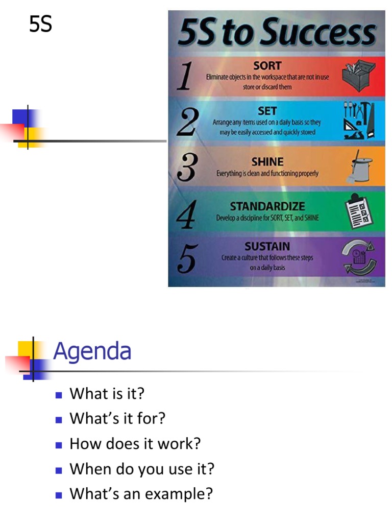 5S Basics | PDF | Business