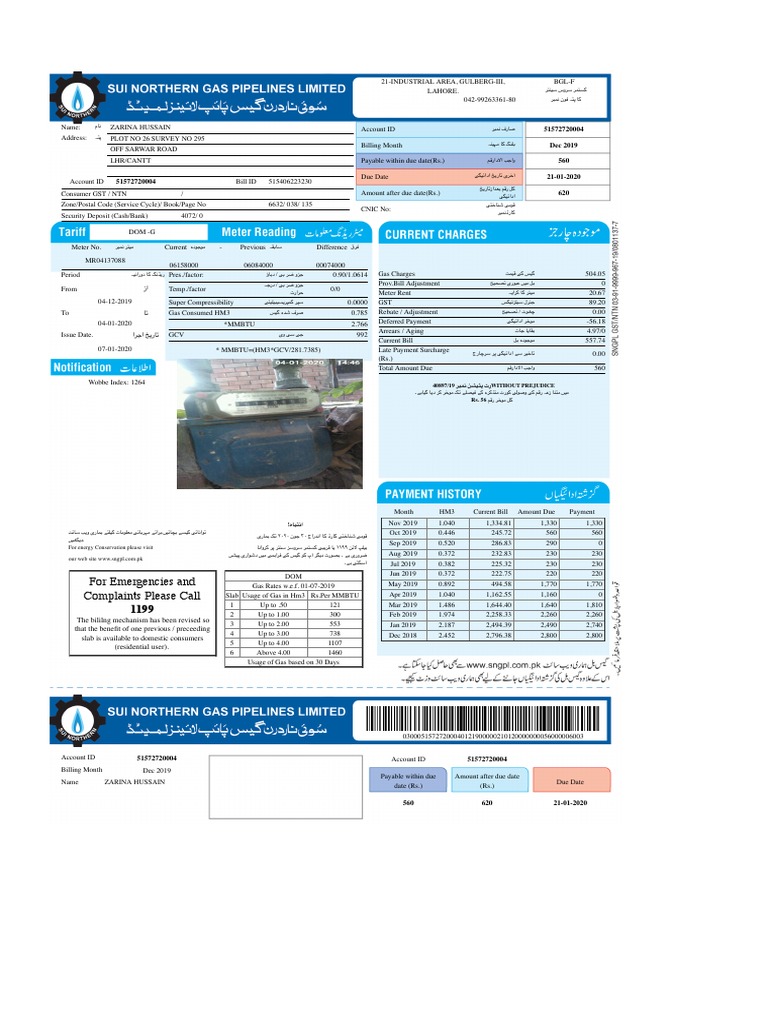 SNGPL - Web Bill | PDF