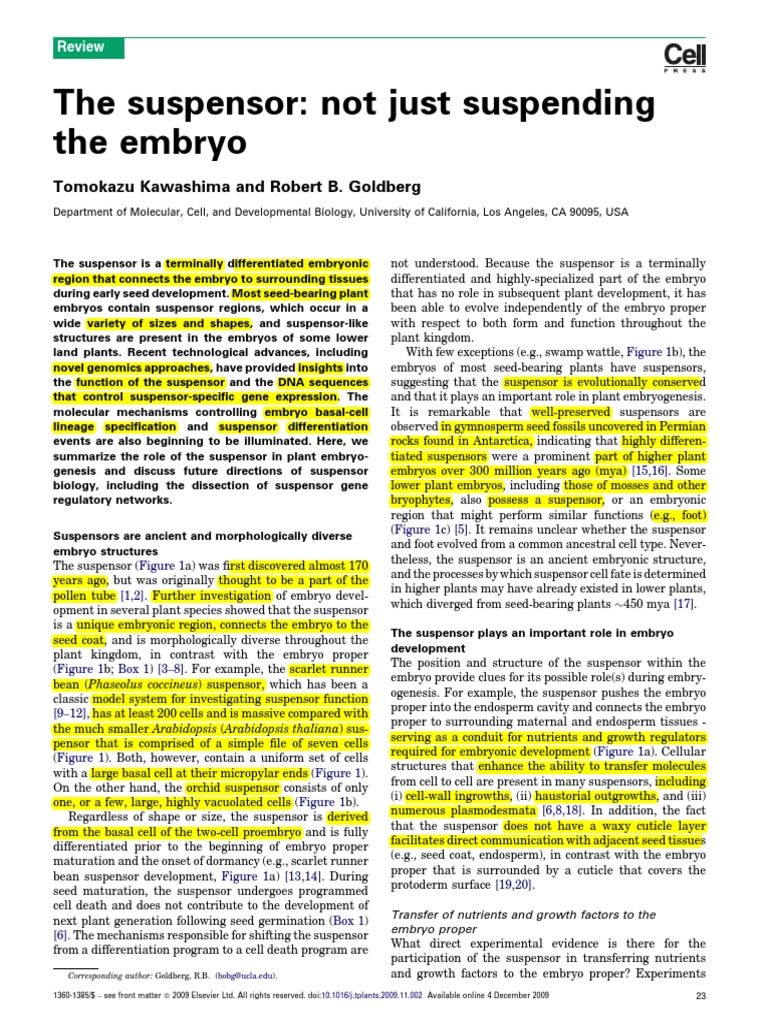 Suspensor | PDF | Developmental Biology | Cellular Differentiation