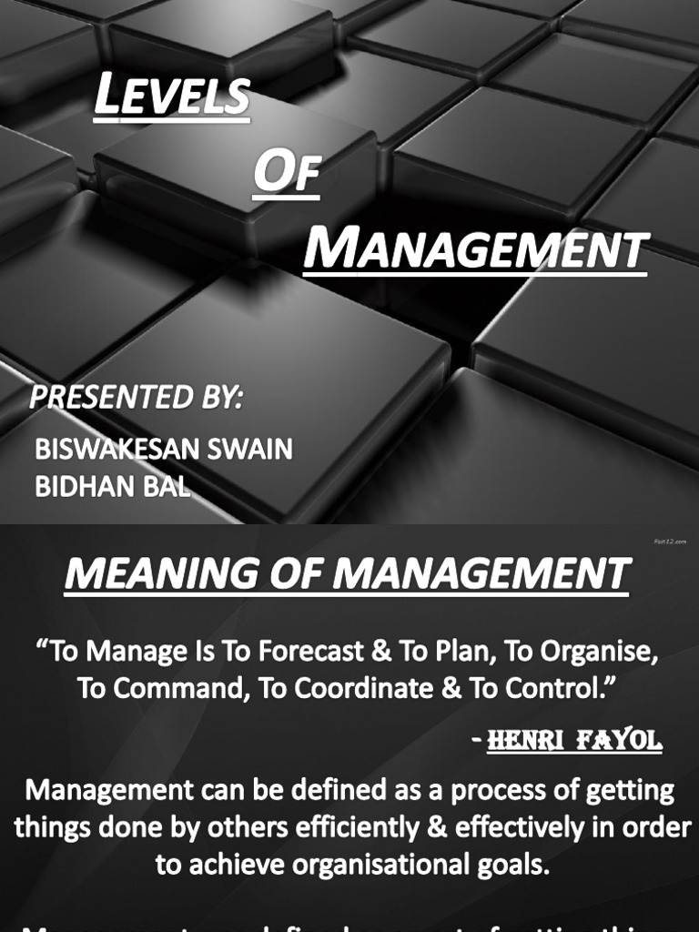 Levels of Management Overview | PDF