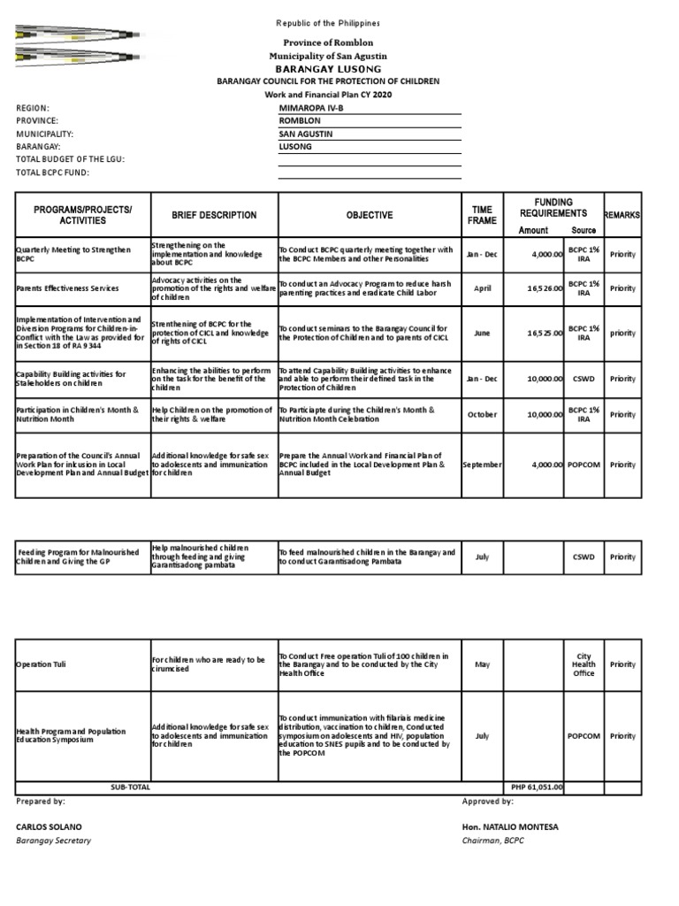 BCPC Work and Financial Plan | PDF | Health Care | Public Sphere