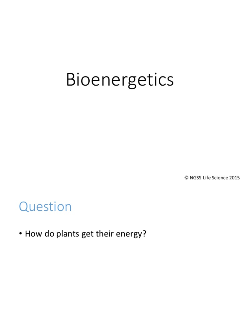 Bioenergetics Notes | PDF | Cellular Respiration | Photosynthesis