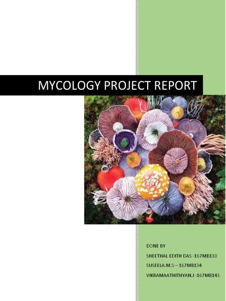 Mycology Project: Fungal Identification | PDF | Fungus | Organisms