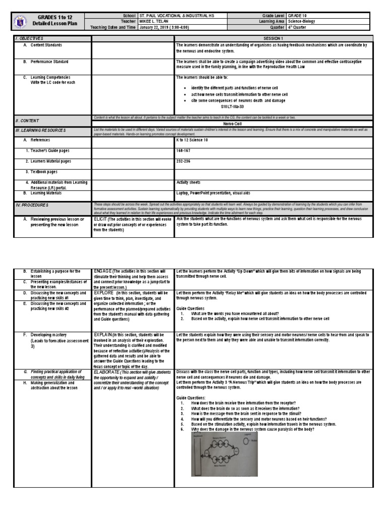 Nerve Cell DLP Science | PDF | Nerve | Neuron