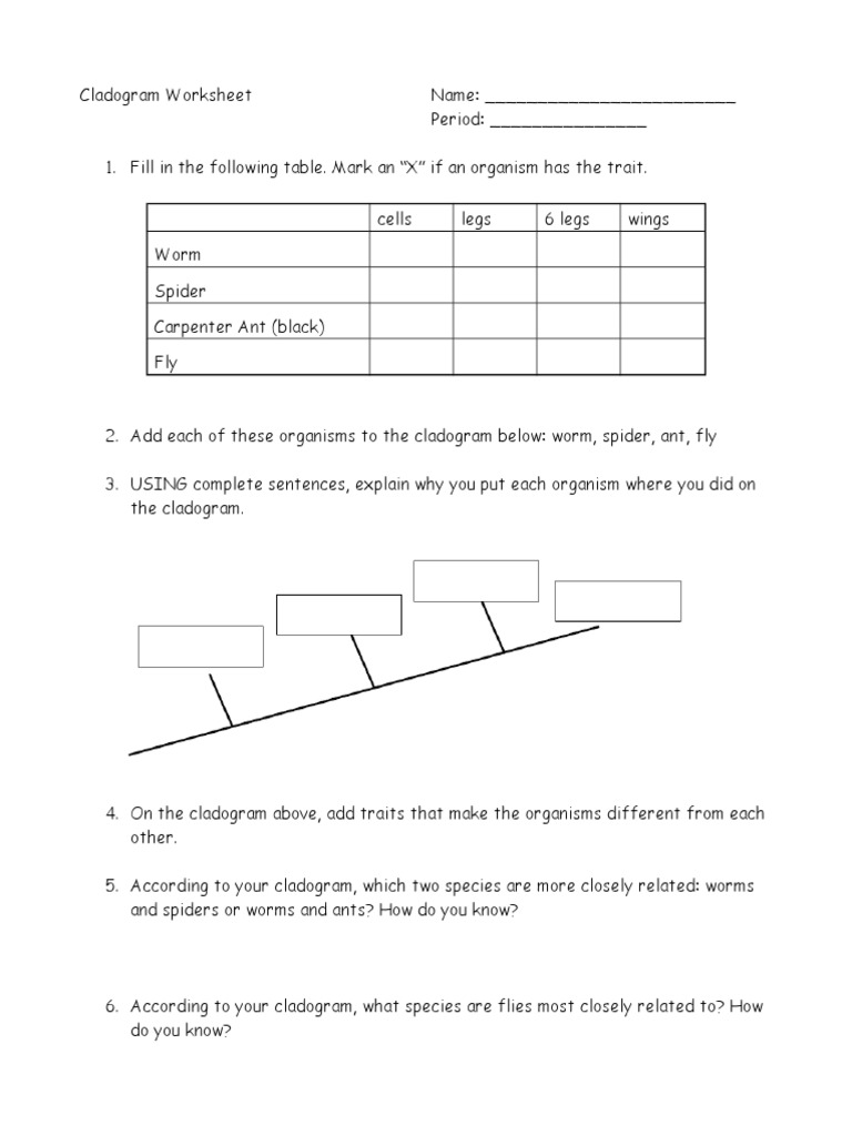 Cladogram Worksheet - Ss | PDF
