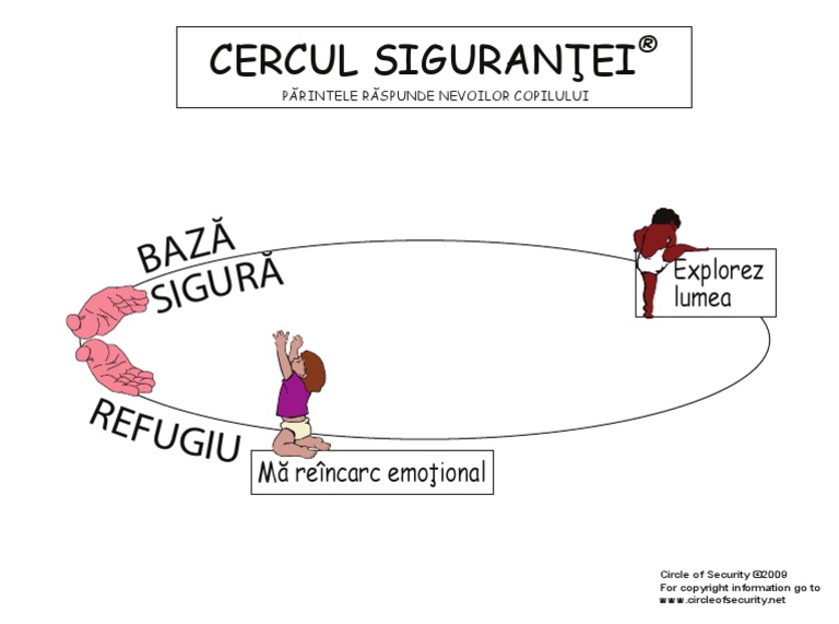 Capitolul 1. Introducere Cercul Sigurantei PDF | PDF