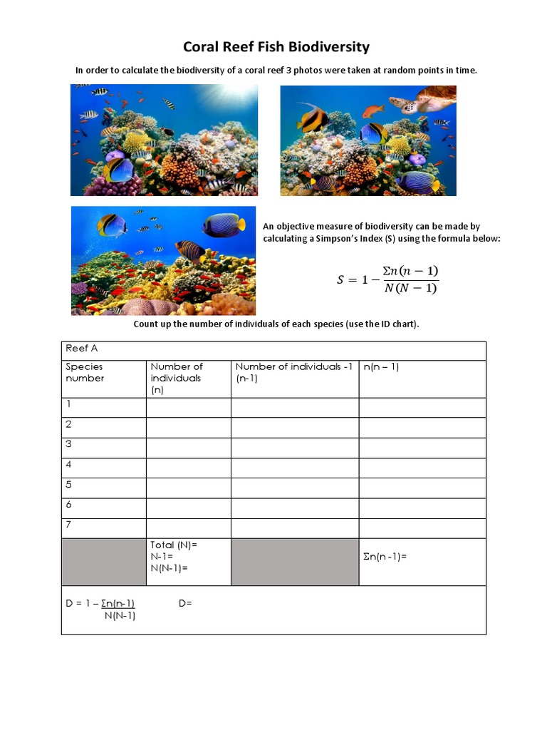 Coral Reef Fish Worksheet | PDF