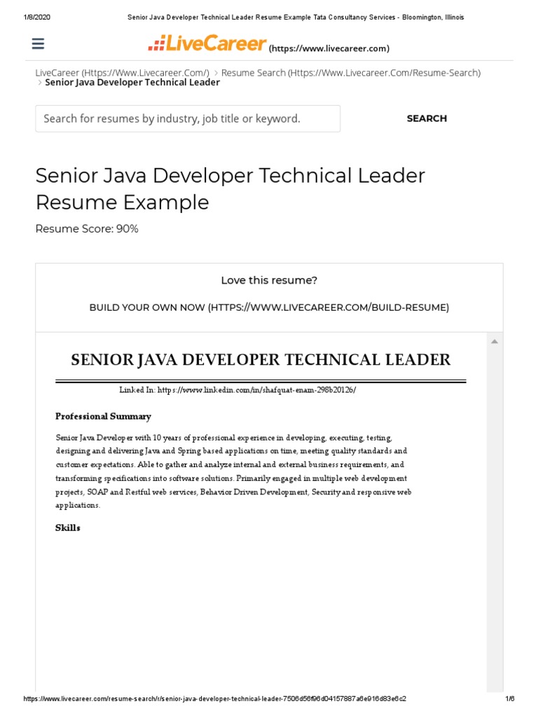 Senior Java Developer Technical Leader Resume | PDF | Programmer | World Wide Web