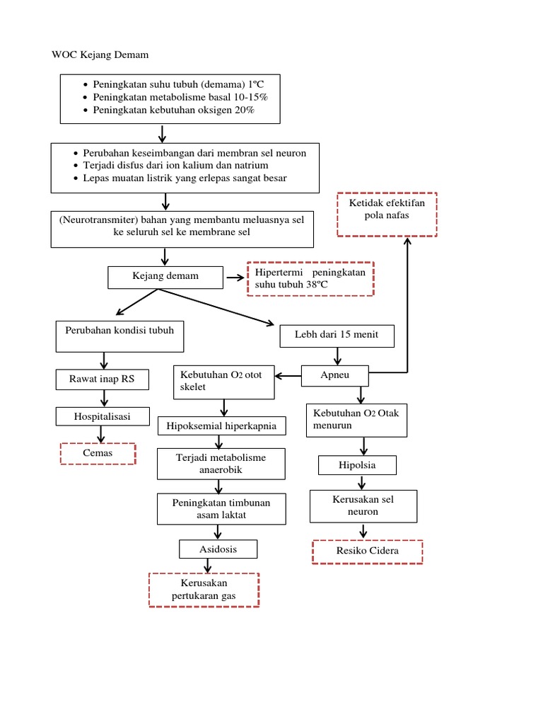 WOC Kejang Demam (Wahyu Raharjo Dan Hendra) | PDF
