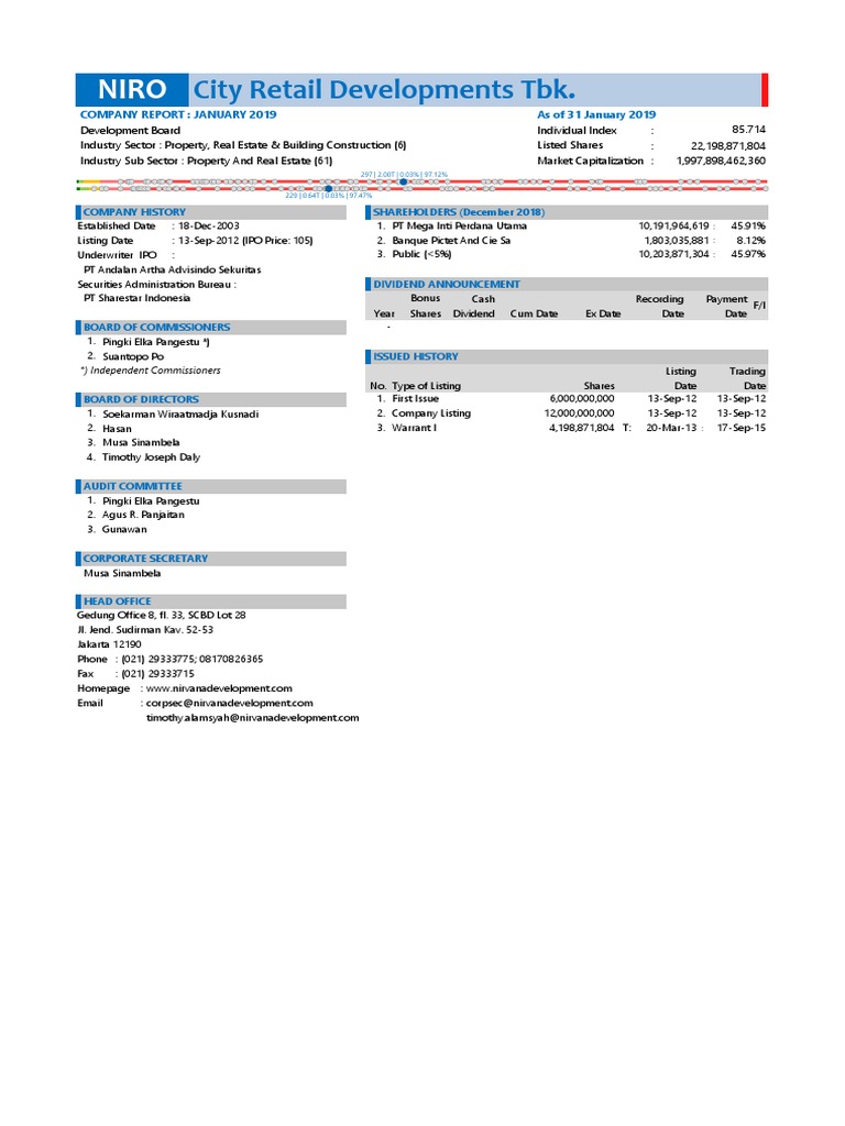 Niro | Download Free PDF | Revenue | Equity (Finance)