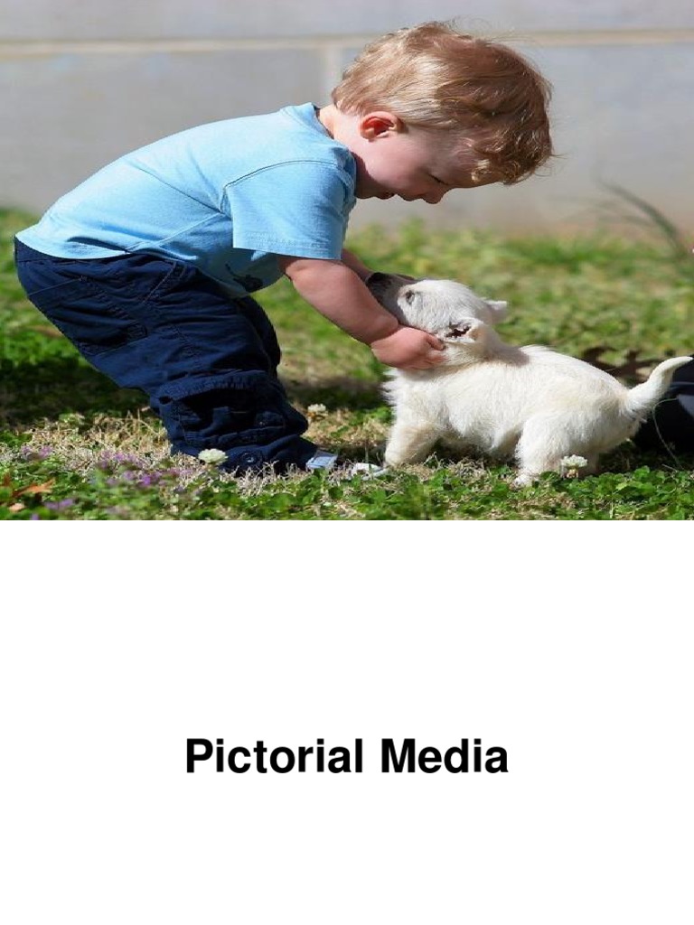 Pictorial Media | PDF | Illustration | Lecture