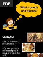 Dextrinisation | PDF | Starch | Foods