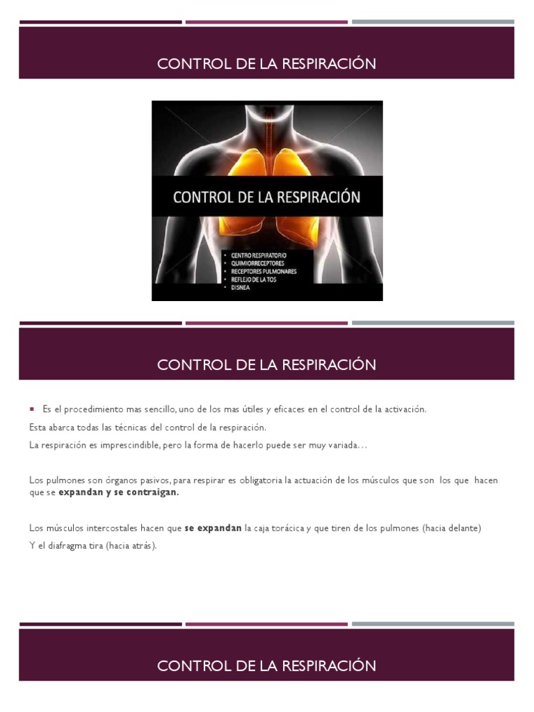 Control de La Respiración | PDF | Respiración | Sistema respiratorio